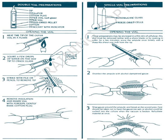 PROCEDURE FOR PROCURING, SUBCULTURING & MAINTENANCE OF CULTURES ...