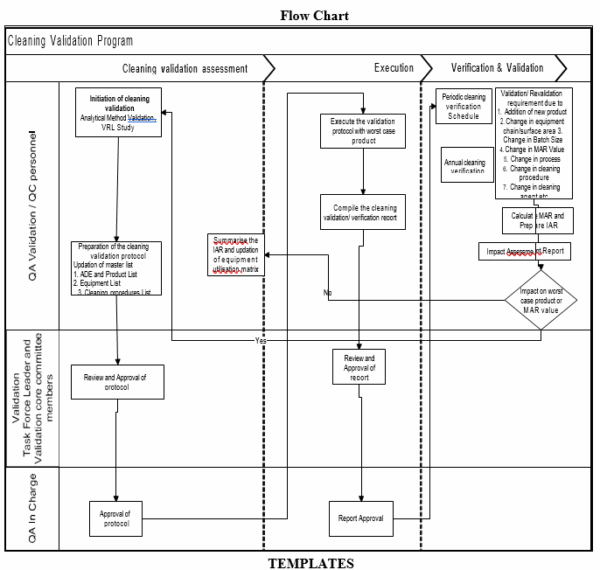CLEANING VALIDATION PROGRAMME – PharmaGuideHub