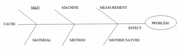 Fish Bone Diagram – PharmaGuideHub